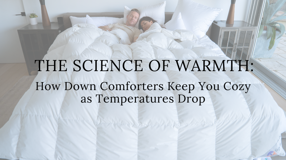 The Science of Warmth: How Down Comforters Keep You Cozy as Temperatur ...